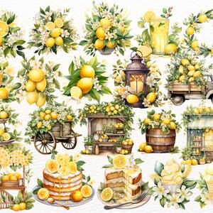 Watercolor Lemon Clipart Bundle: Rustic Citrus PNG Set (digital ...