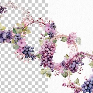 Watercolor Grapes Clipart Bundle, PNG Set of 60, Grape Clipart, Gnome ...