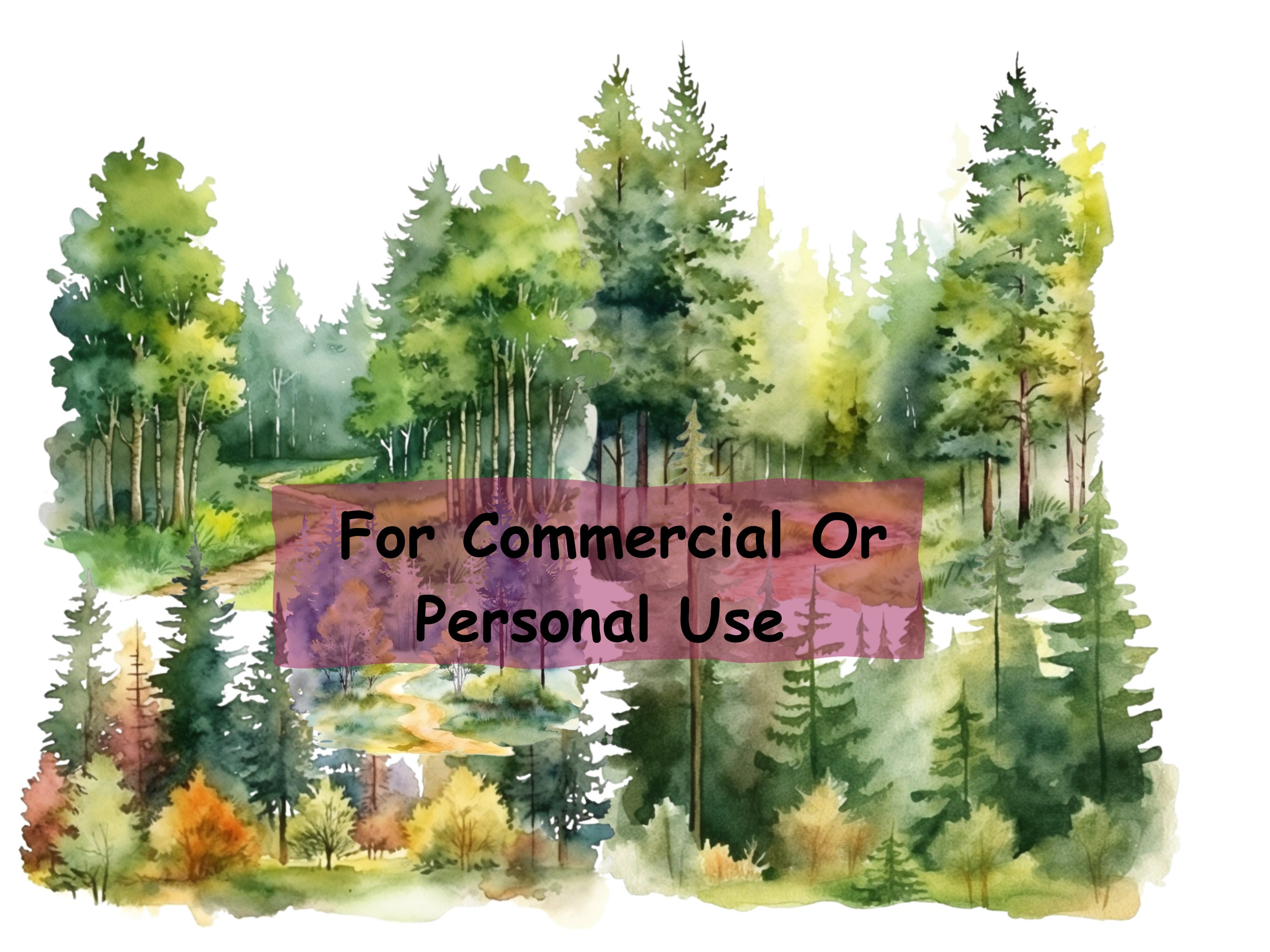 Forest Watercolor Clipart: Tree PNG Set (digital Download) - Etsy