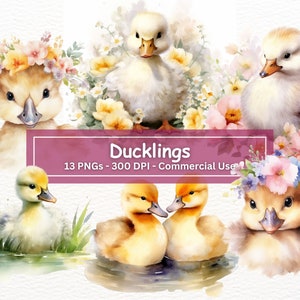 Duckling Clipart Bundle, Set of 13 Pngs, Digital Download, Card Making ...