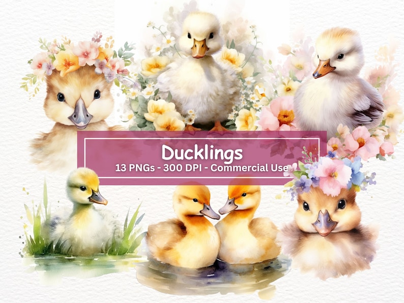 Duckling Clipart Bundle, Set of 13 Pngs, Digital Download, Card Making ...