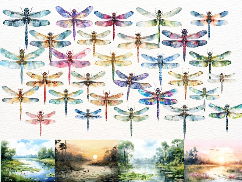 Watercolor Dragonfly Clipart: Floral Pond Design Set (digital Download ...