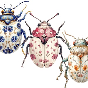 Floral Beetles Clipart Bundle, 44 PNG Set, Fantasy Flower Insect ...
