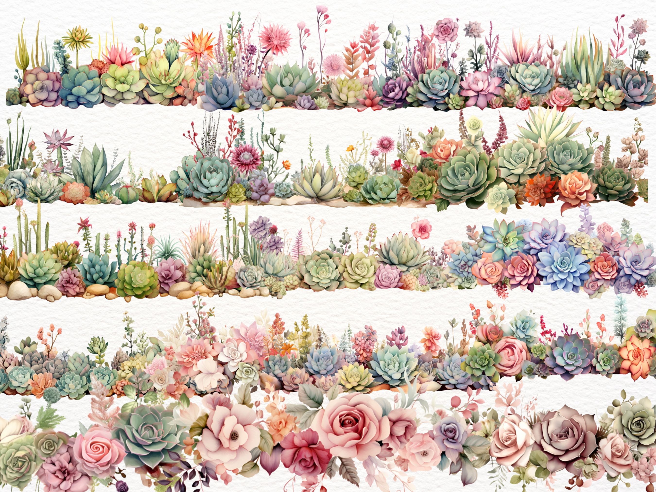 Floral Succulent Borders Bundle, Set of 0f 38 Pngs, Plants, Garden ...