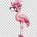 Funny Flamingo PNG Clipart: Biker, Messy Hair Birds (digital Download ...