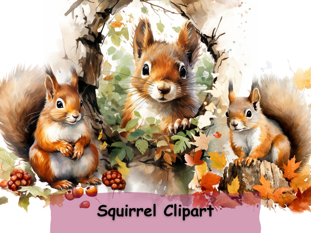 Watercolor Squirrel Clipart Bundle, 10 PNG Image Pack, Commercial Use ...