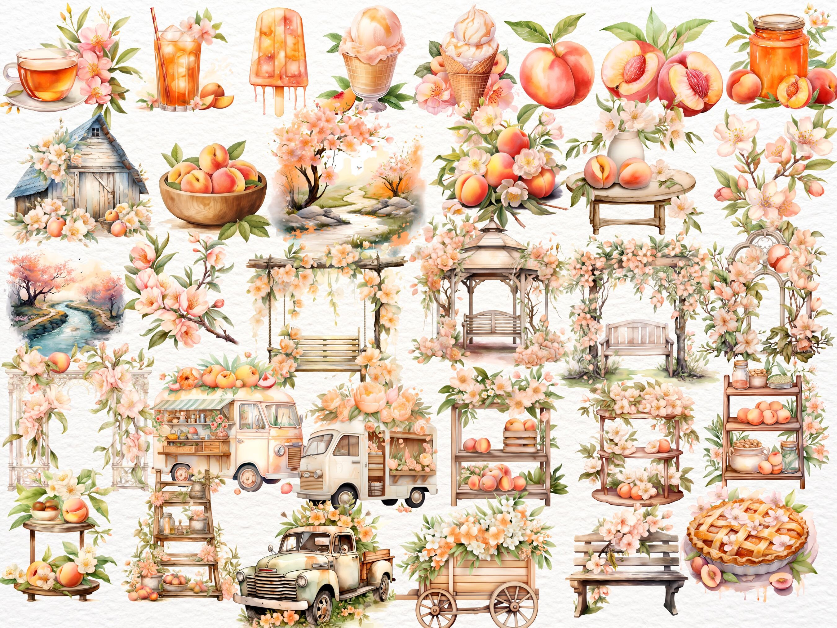 Watercolor Peach Clipart Bundle, PNG Set of 57, Peaches Clipart, Rustic ...