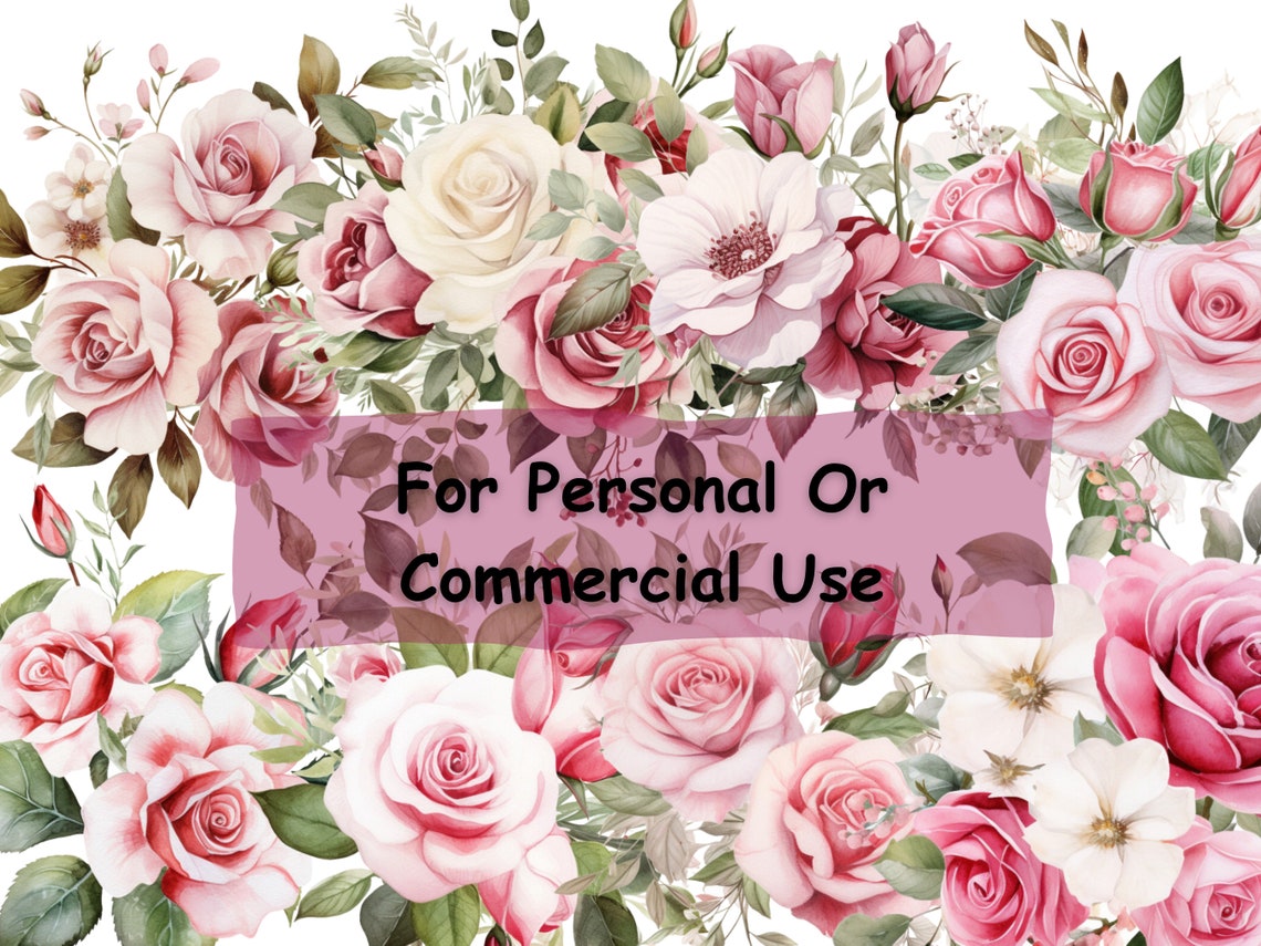 Watercolor Pink Roses Clipart Floral Clip Art Bundle 24 - Etsy