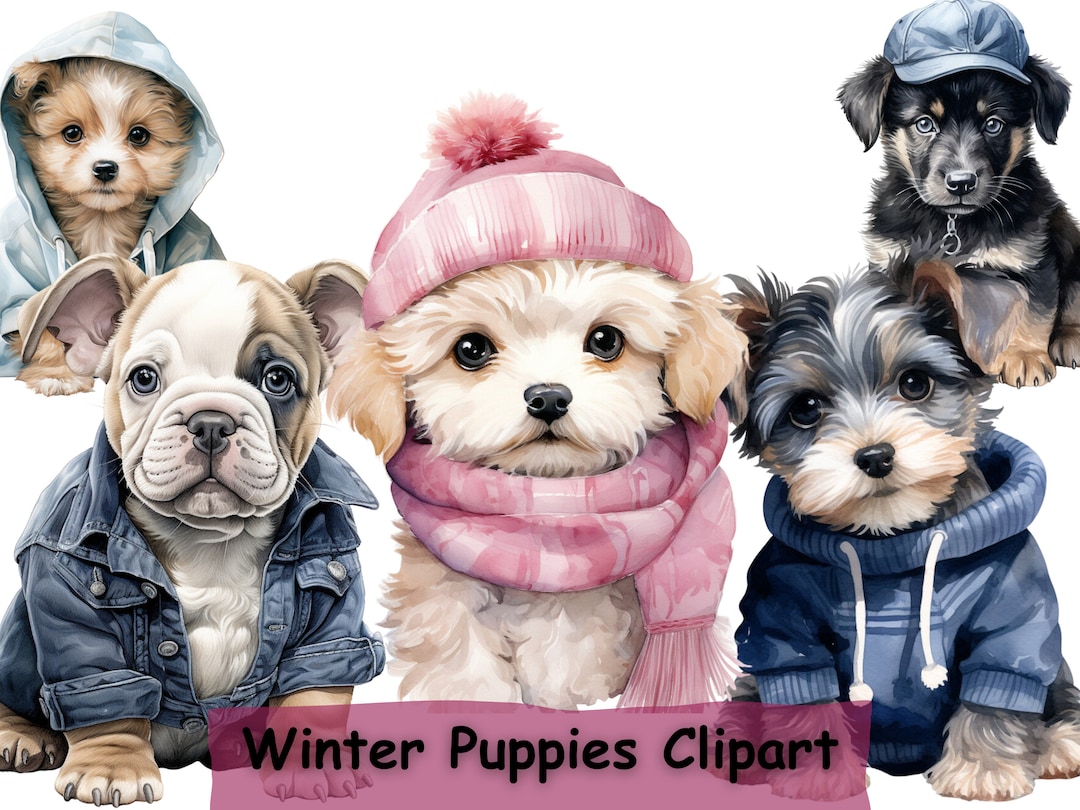 Watercolor Winter Puppy Clipart, 12 Pngs, Dog Digital Download, Card ...