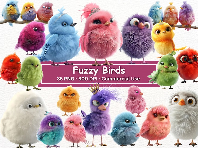 Funny Fuzzy Birds Clipart Bundle: PNG Illustrations (digital Download ...