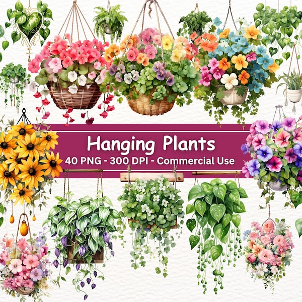 Plant Clipart Transparent Background - Etsy