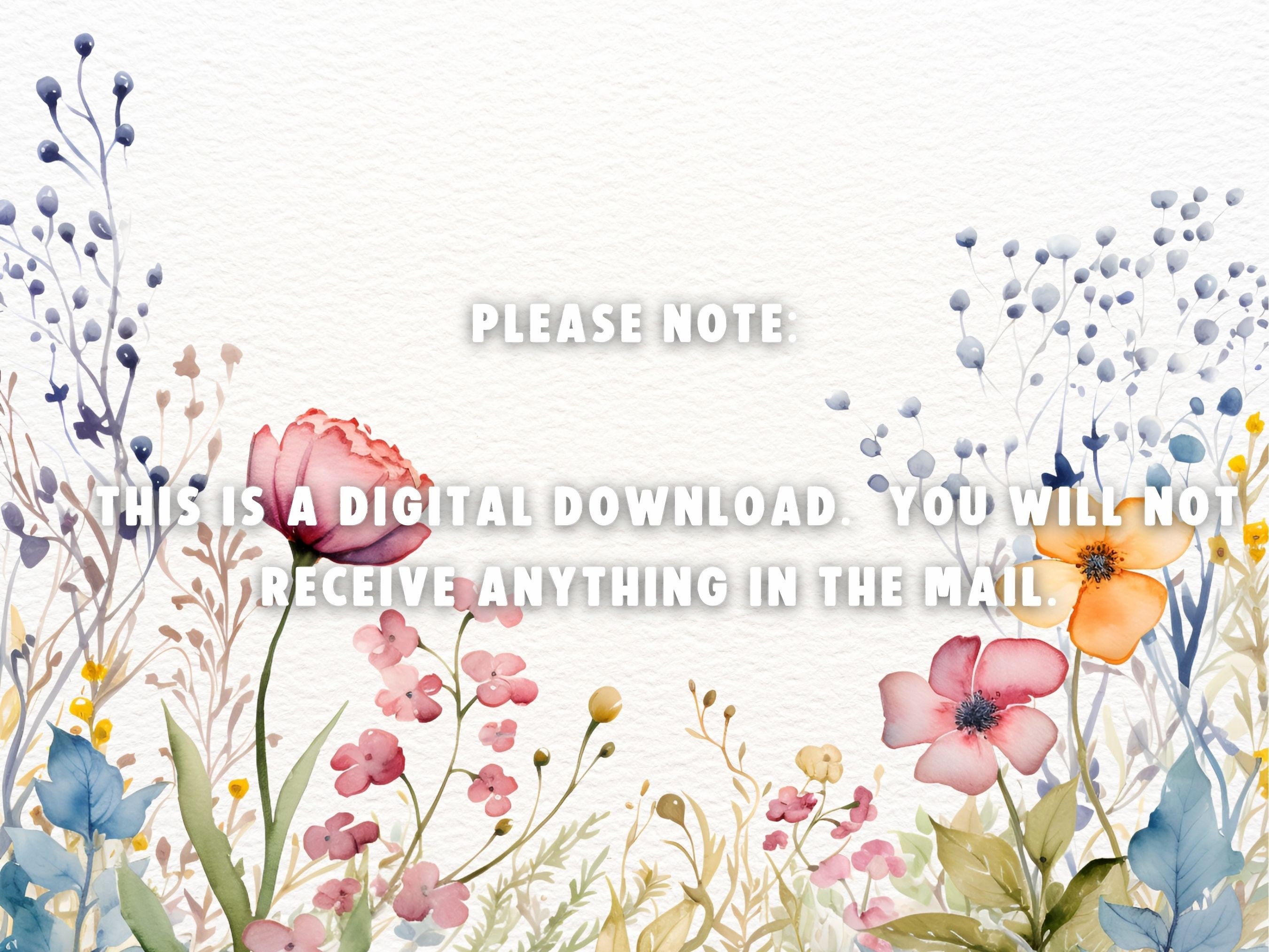 Watercolor Wildflower Clipart: Pastel Borders & Frames (35 Pngs ...
