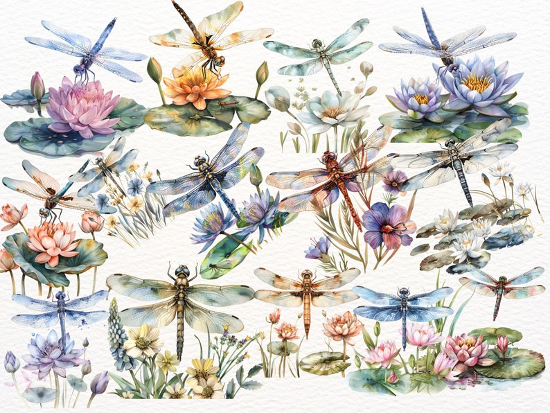 Watercolor Dragonfly Clipart: Floral Pond Design Set (digital Download ...
