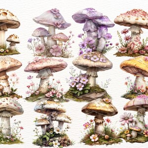 Fantasy Seasonal Mushroom Clipart Bundle, 78 PNG Set, Toadstools ...