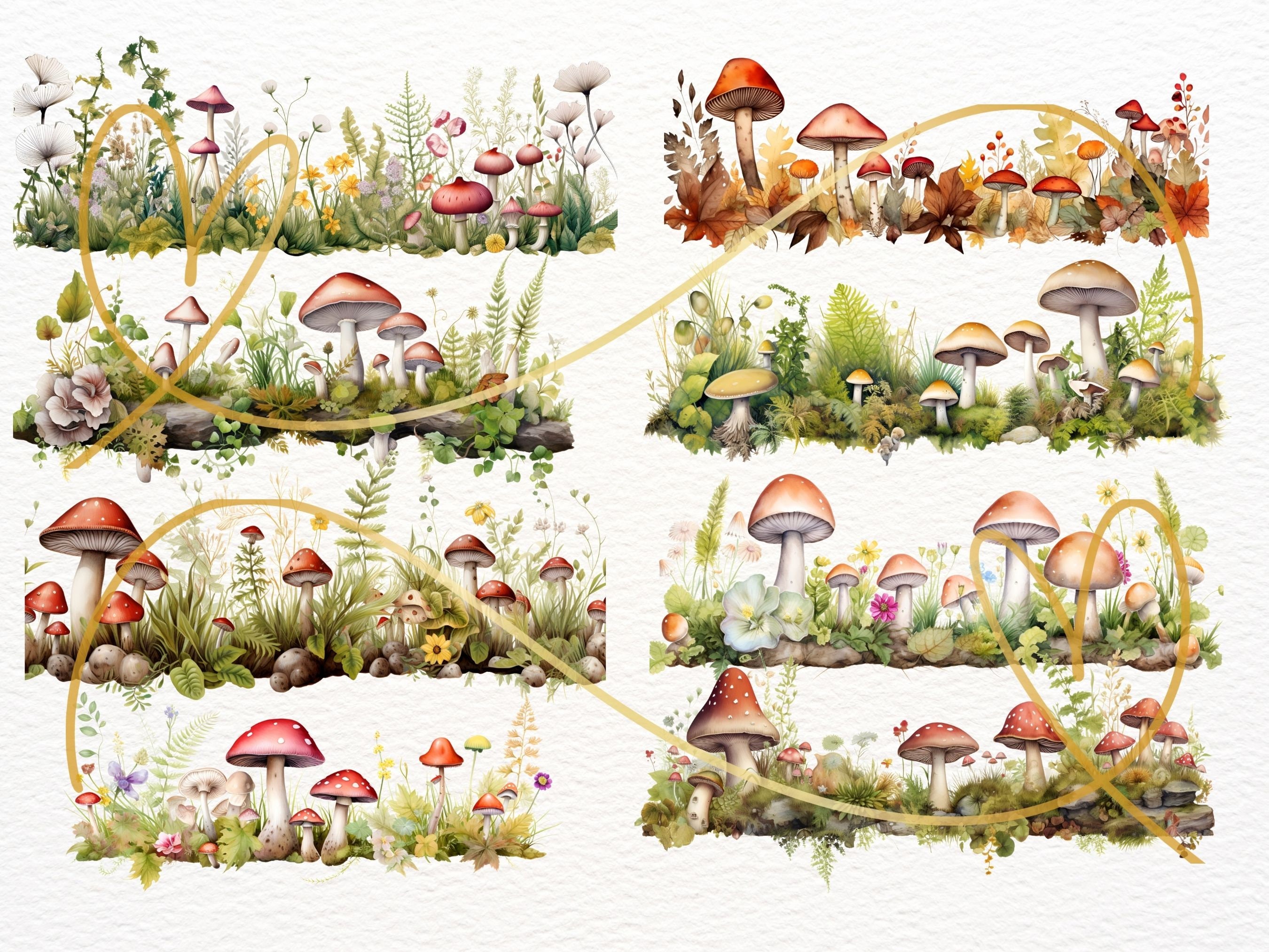 Watercolor Mushroom Border Clipart: 42 PNG Set (digital Download ...
