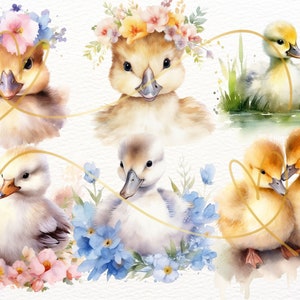Duckling Clipart Bundle, Set of 13 Pngs, Digital Download, Card Making ...