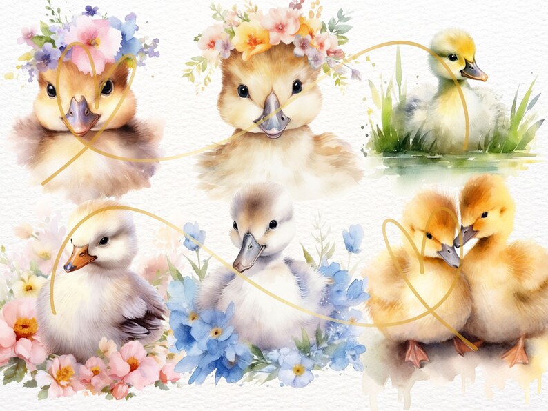 Duckling Clipart Bundle, Set of 13 Pngs, Digital Download, Card Making ...