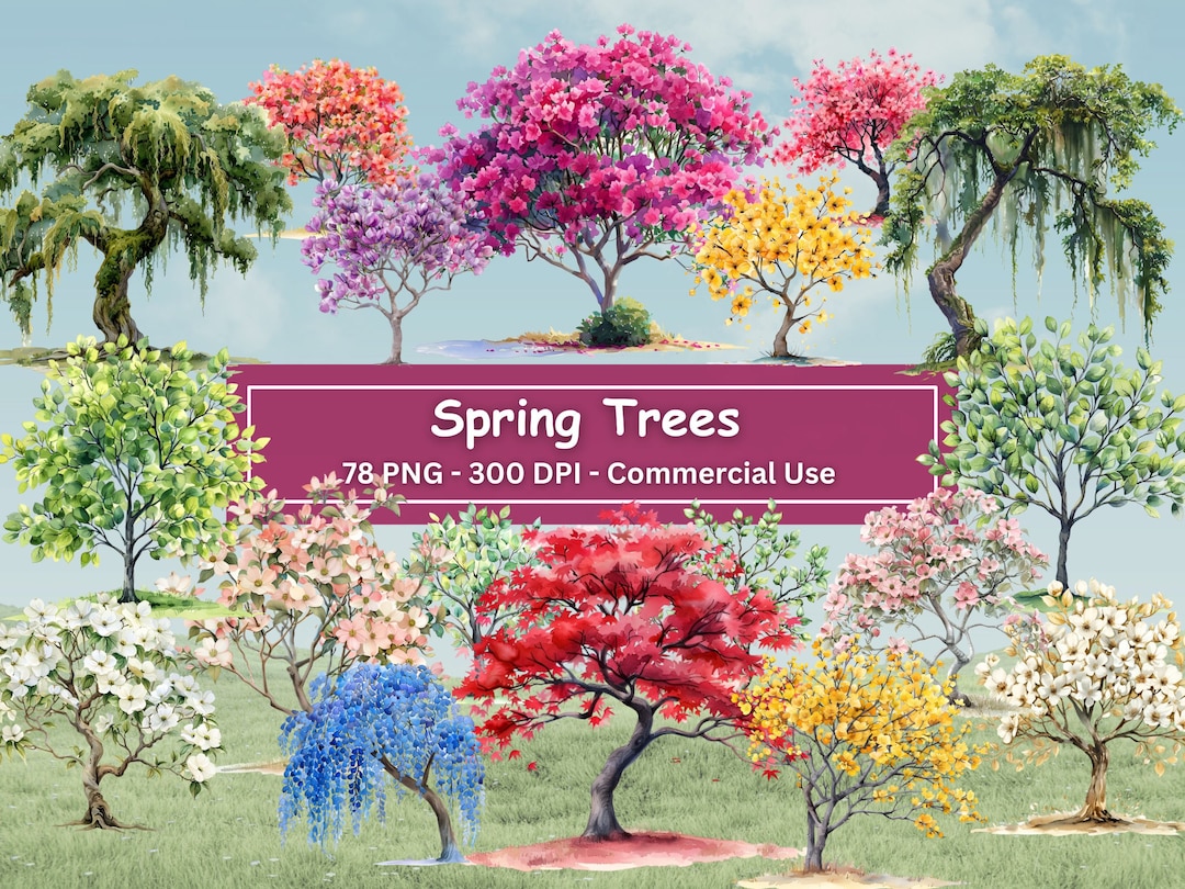 Watercolor Spring Trees Clipart Bundle, 78 PNG Set, Wisteria,sakura ...