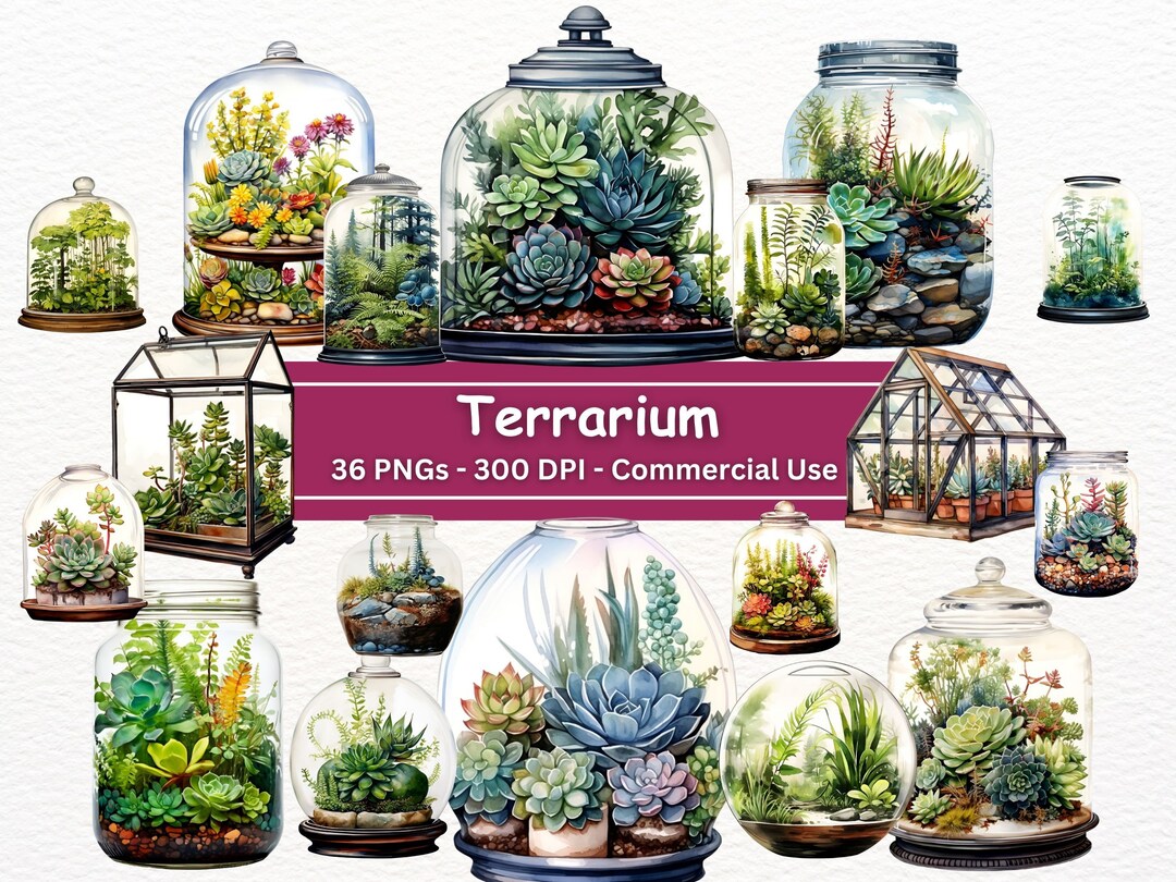 Terrarium Clipart Bundle: Botanical Greenhouse PNG Set (digital ...
