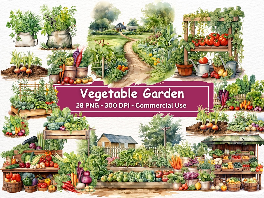 Vegetable Garden Clipart Bundle, Set of 28 Pngs, Watercolor Vegetables ...