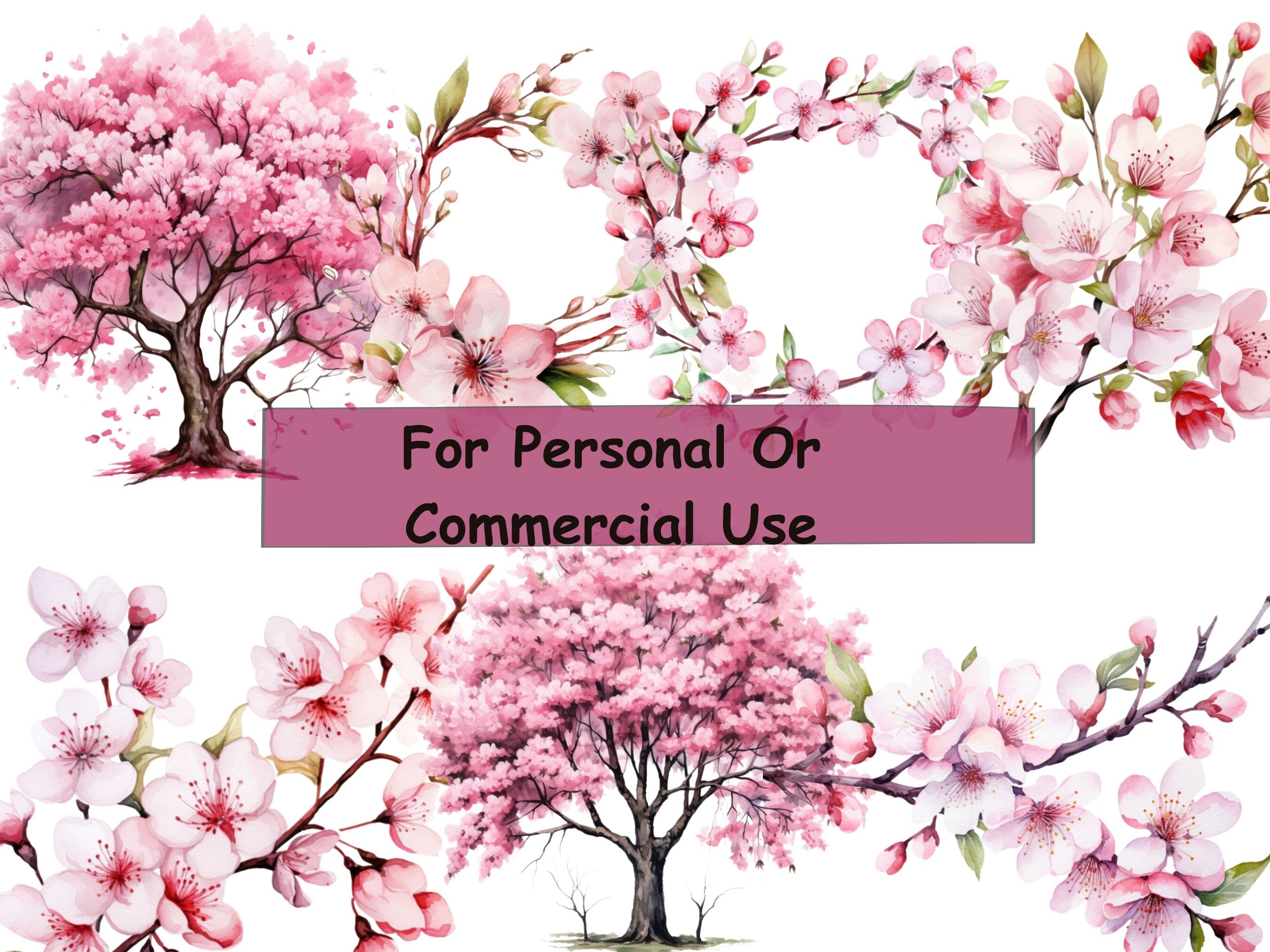 Watercolor Cherry Blossom Clipart Bundle 18pc Pngs Plus Free - Etsy Canada