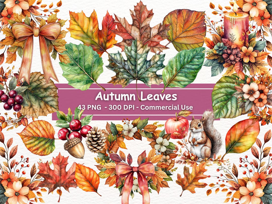 Autumn Fall Leaves Watercolor Clipart Bundle, Clip Art PNG Set of 43 ...