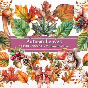 Autumn Fall Leaves Watercolor Clipart Bundle, Clip Art PNG Set of 43 ...