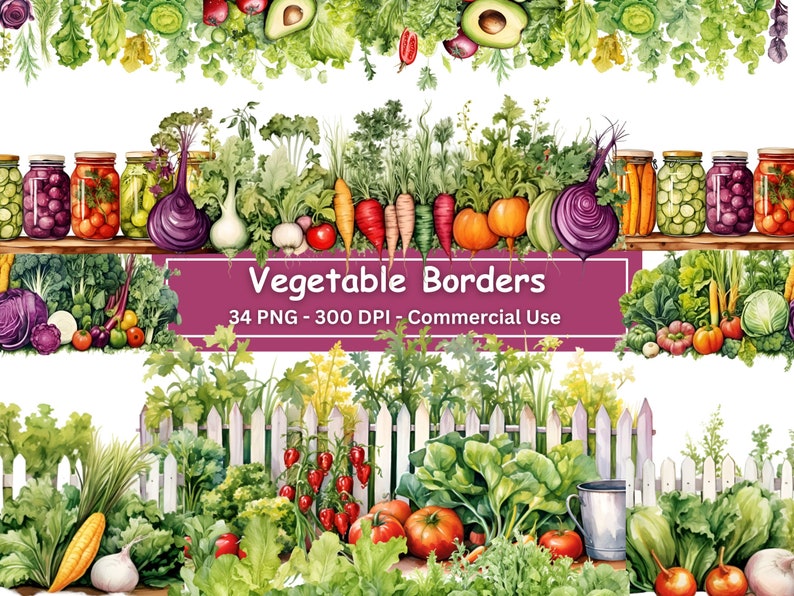 Watercolor Vegetable Borders: Veggie Garden PNG Clipart (digital ...