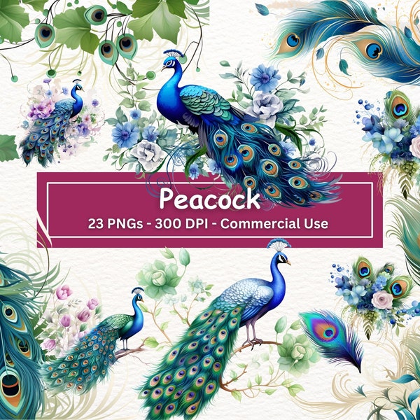 Peacock Clip - Etsy