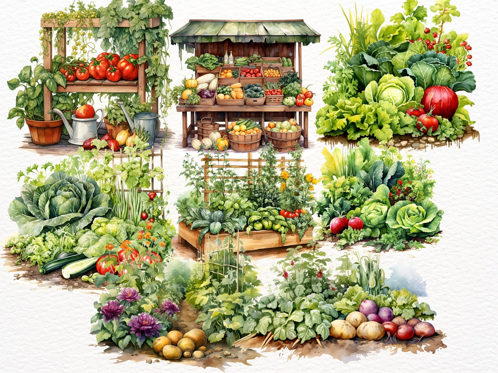 Watercolor Vegetable Garden Clipart Bundle: 28 Pngs, Commercial Use ...