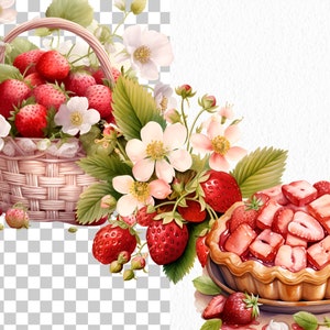 Watercolor Strawberry Clipart Bundle: Rustic Fruit Designs (PNG Set of ...