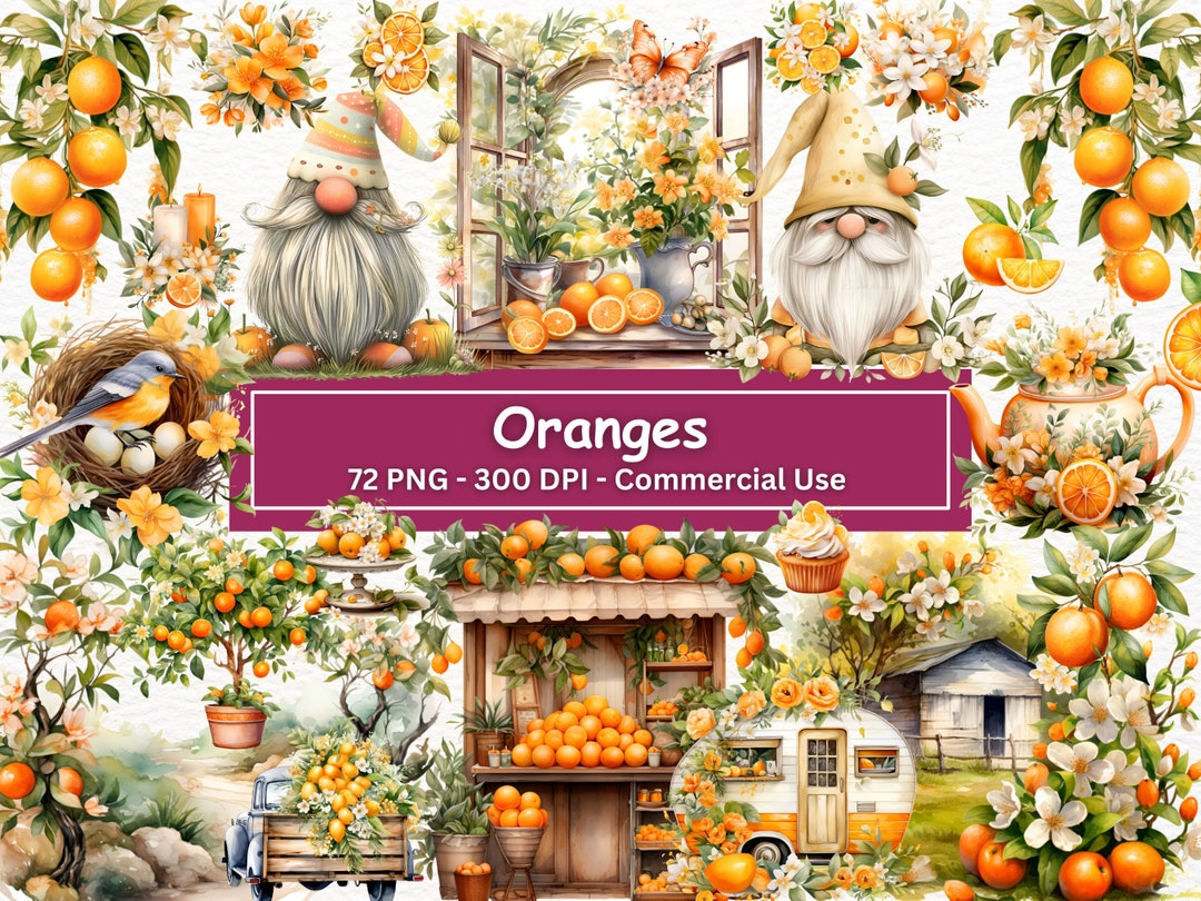 Watercolor Oranges Clipart Bundle, PNG Set of 72, Orange Clip Art ...