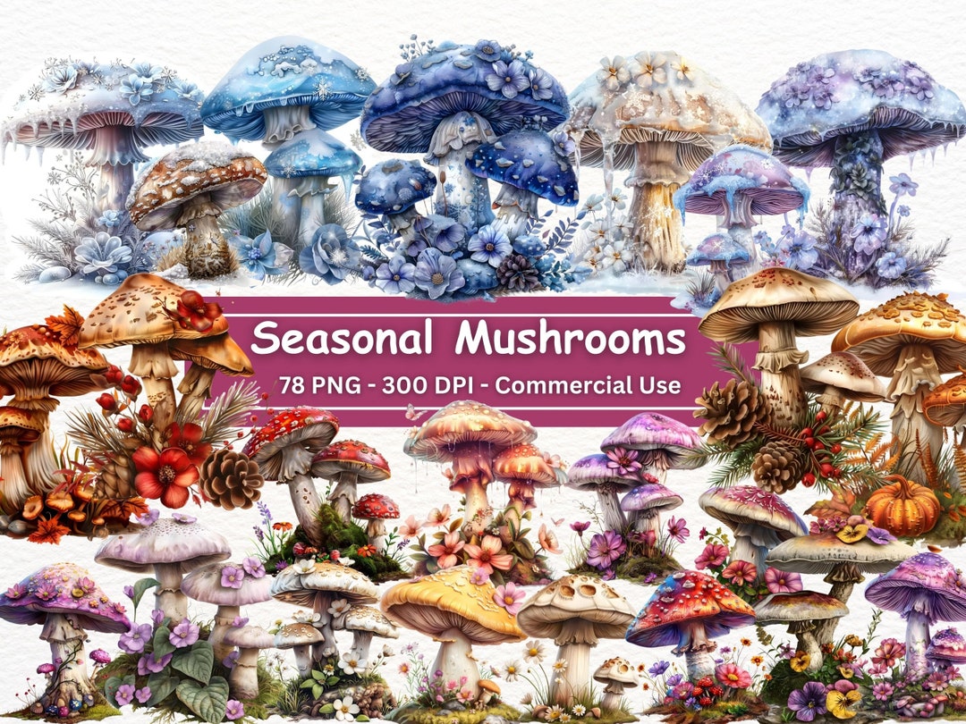 Fantasy Seasonal Mushroom Clipart Bundle, 78 PNG Set, Toadstools ...