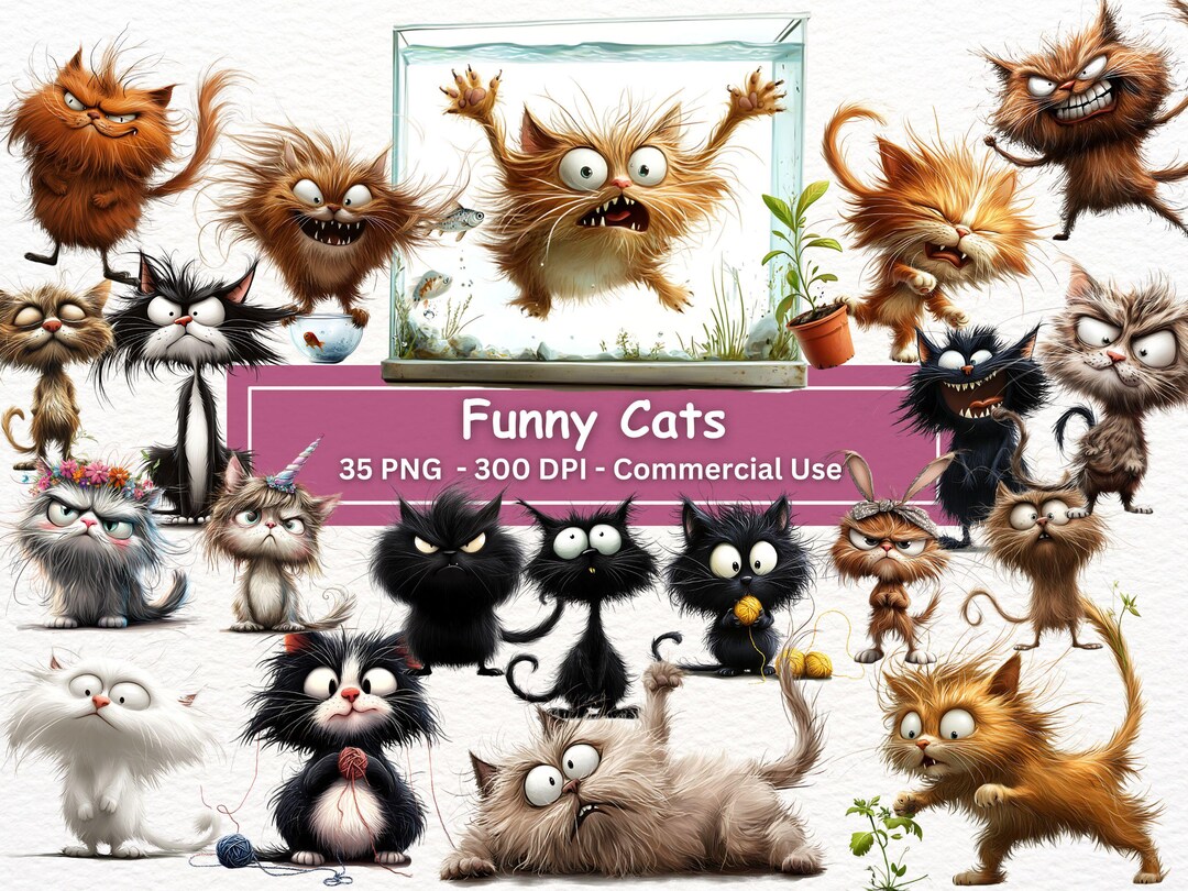 Funny Cats Clipart Bundle: 35 Quirky PNG Illustrations (digital ...