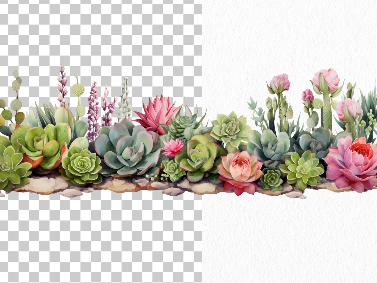Watercolor Succulent Borders Bundle, Set of 0f 40 Pngs, Plants, Garden ...