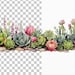 Watercolor Succulent Borders: 40 PNG Garden Plants (digital Download ...