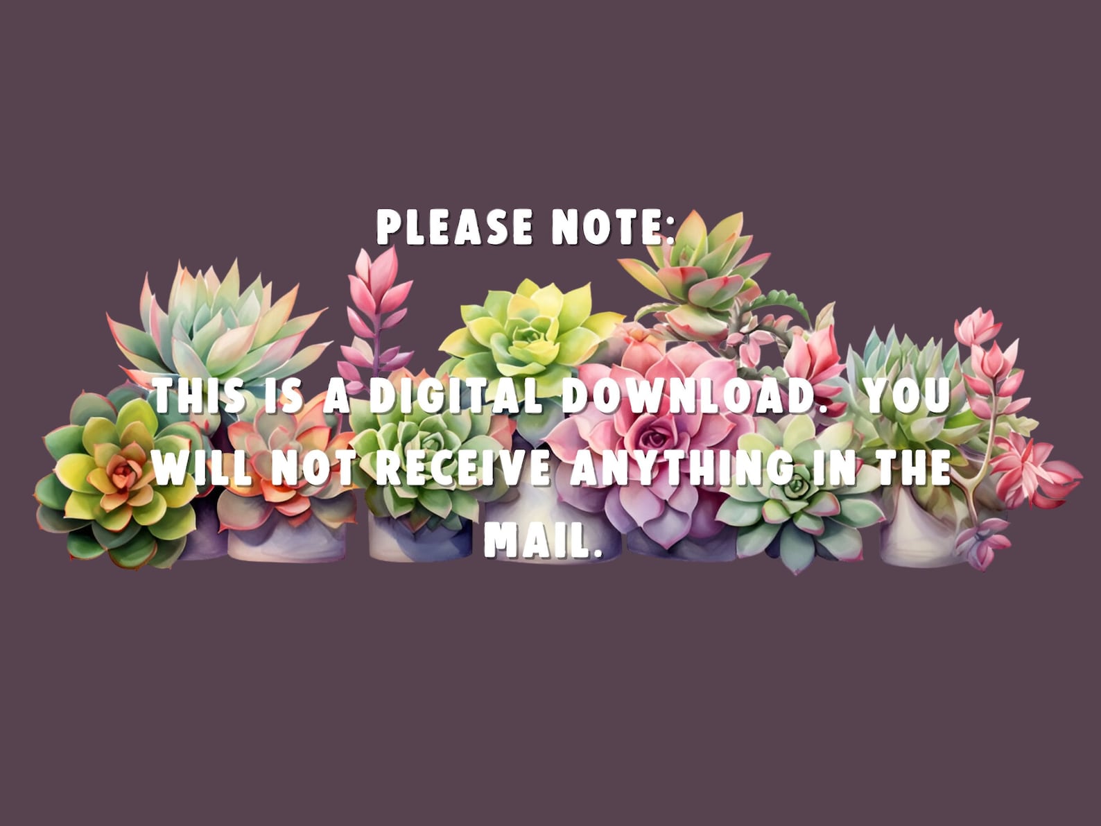 Watercolor Succulent Borders Bundle, Set of 0f 40 Pngs, Plants, Garden ...