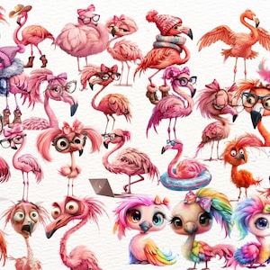Funny Flamingo PNG Clipart: Biker, Messy Hair Birds (digital Download ...