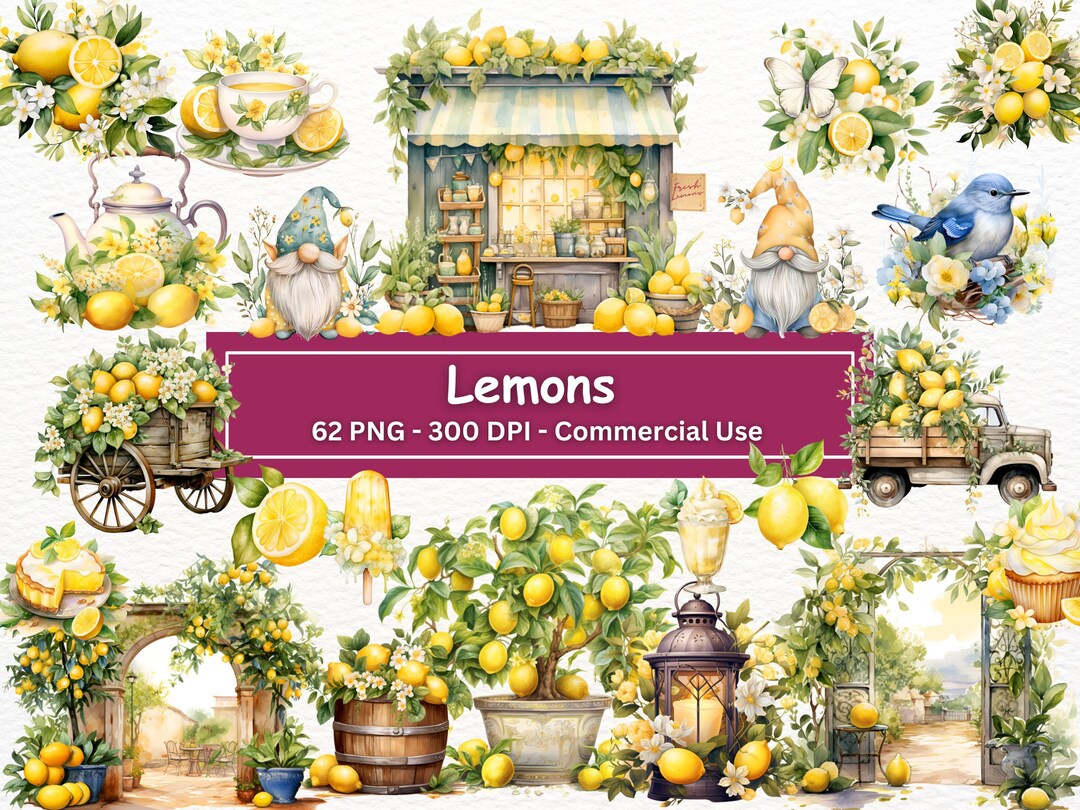 Watercolor Lemons Clipart Bundle, PNG Set of 53, Lemon Clip Art, Rustic ...