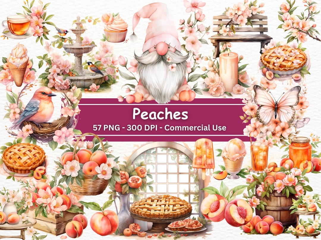 Watercolor Peach Clipart Bundle, PNG Set of 57, Peaches Clipart, Rustic ...