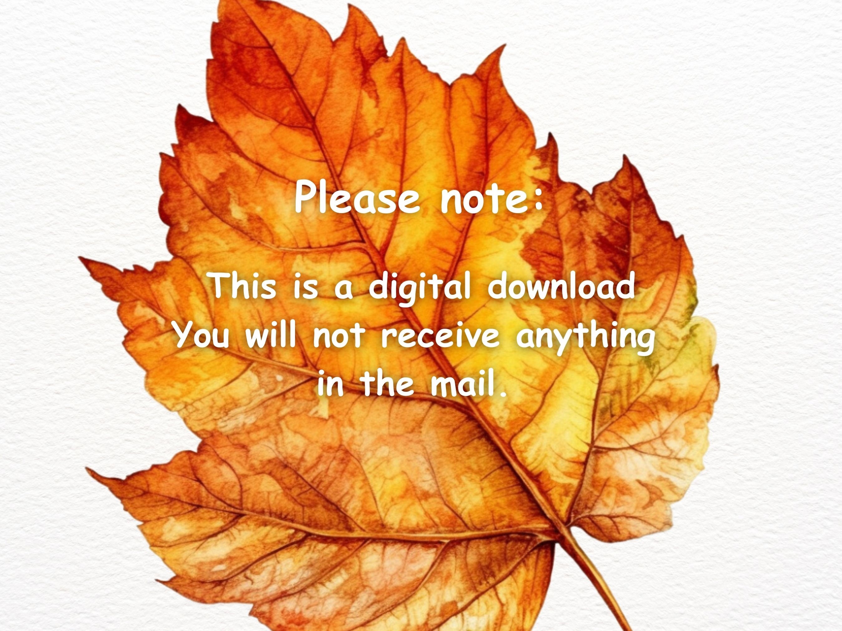 Autumn Variety Clipart Bundle 65 PNG Set Rustic Fall Cozy - Etsy