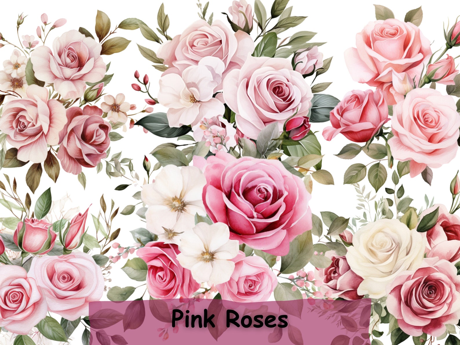 Watercolor Pink Roses Clipart Floral Clip Art Bundle 24 - Etsy