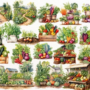Vegetable Garden Clipart Bundle, Set of 28 Pngs, Watercolor Vegetables ...