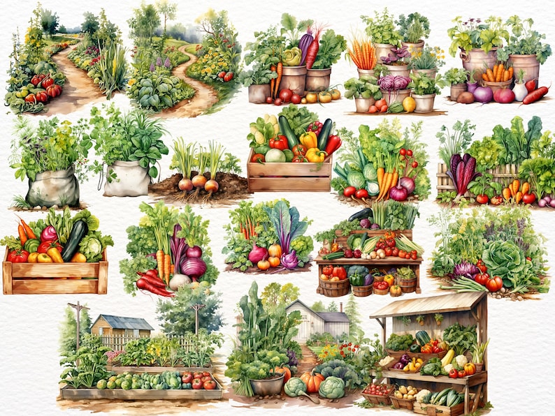 Watercolor Vegetable Garden Clipart Bundle: 28 Pngs, Commercial Use ...