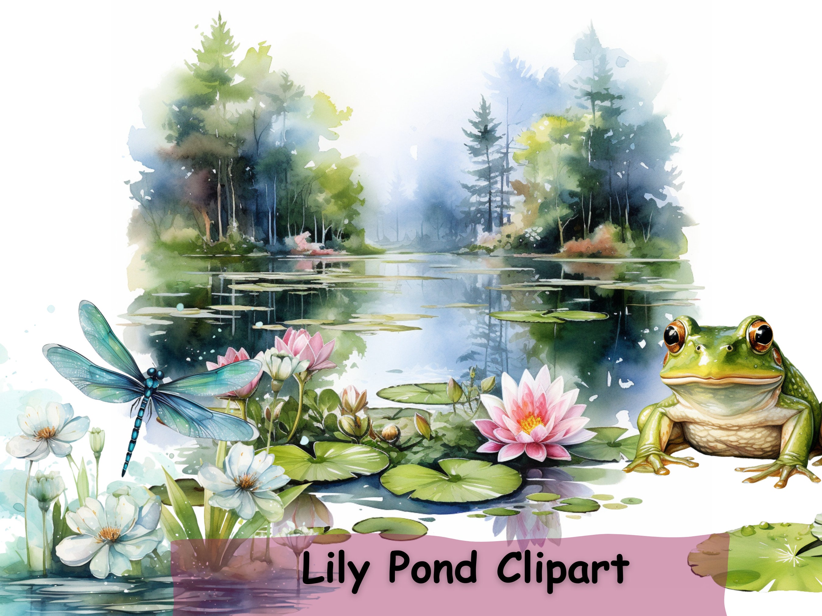 Lily Pond Clipart, Watercolor Frog PNG, Lily Pad, Junk Journal Digital ...