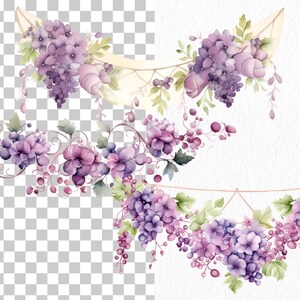 Watercolor Grapes Clipart Bundle, PNG Set of 60, Grape Clipart, Gnome ...