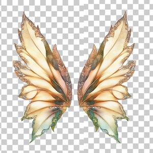 Fantasy Wings Clipart: 28 PNG Fairy & Angel Wings (digital Download) - Etsy