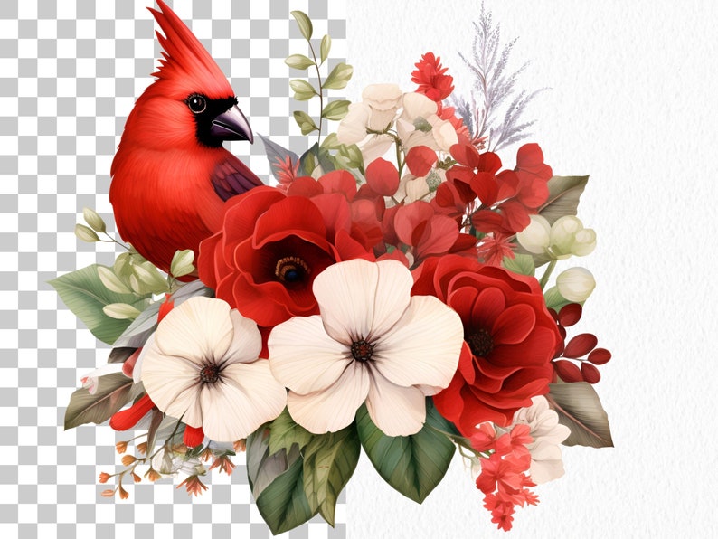 Watercolor Red Cardinal Clipart: 22 PNG Bird Images (digital Download ...