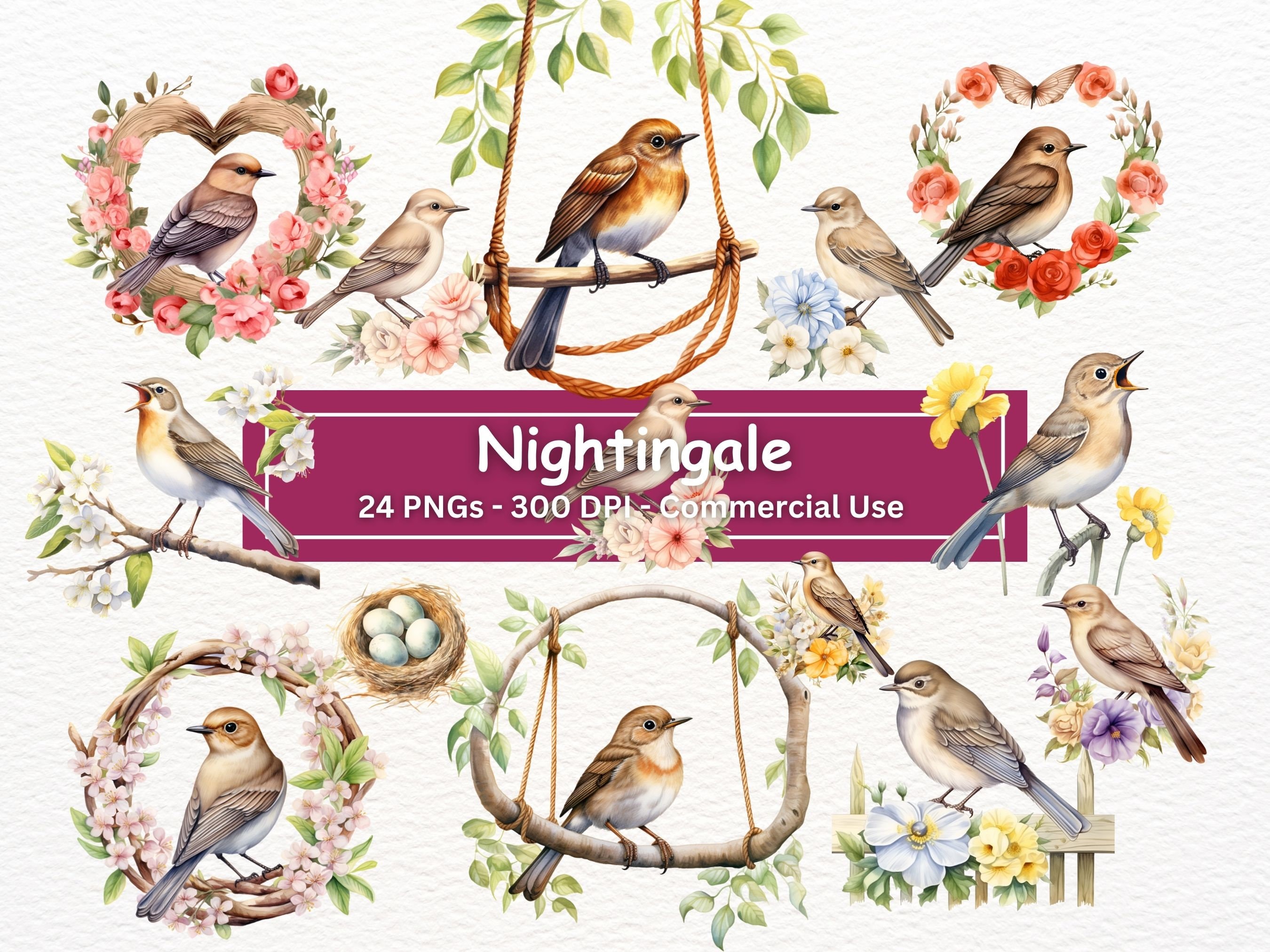 Watercolor Nightingale Clipart, 24 PNG Set, Nursery Art, Digital ...