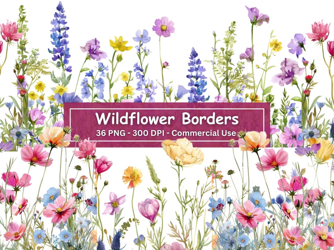 Wildflowers Clipart Borders Bundle, Set of 0f 36 Pngs, Spring ...
